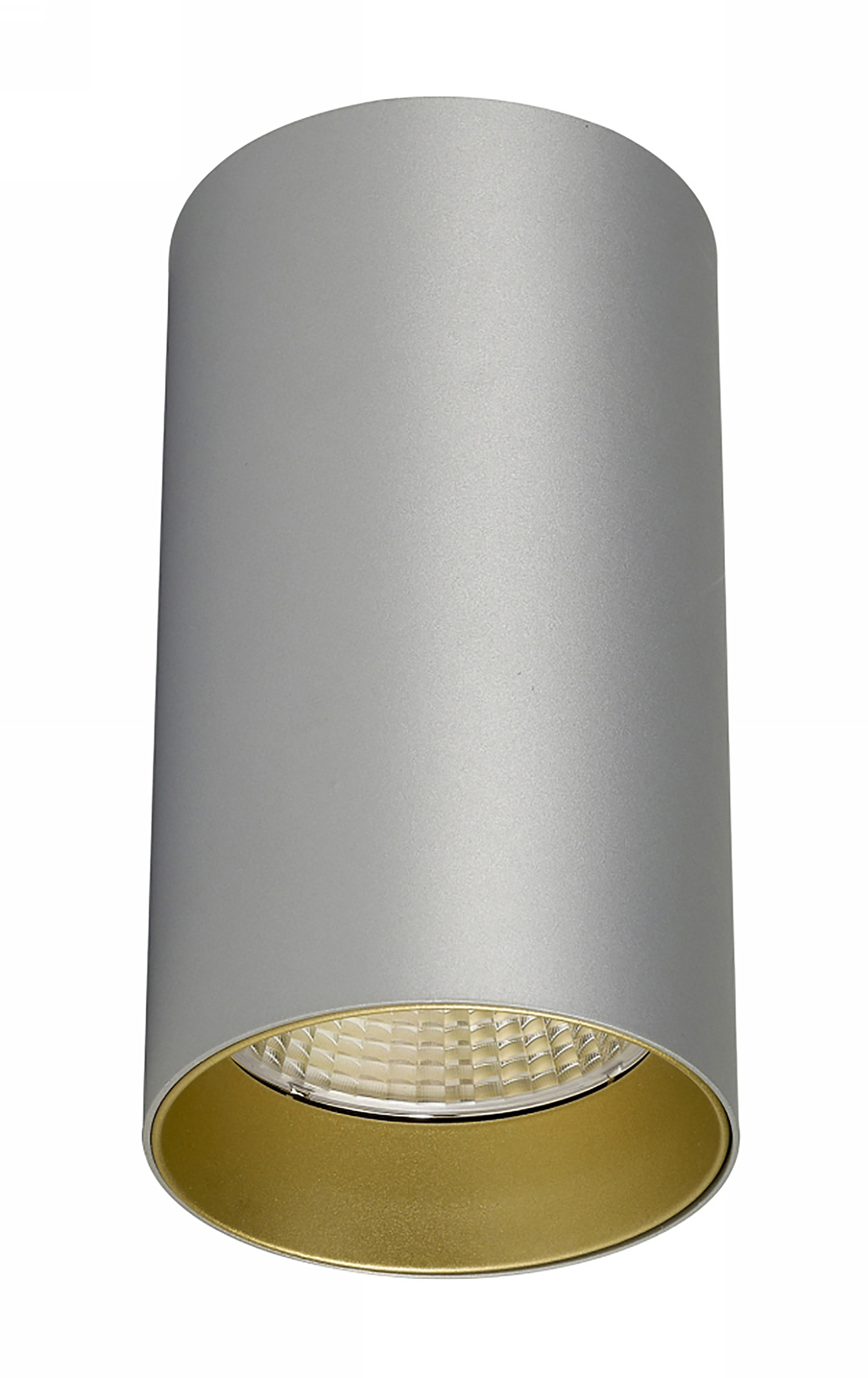 DL300064 Eos 15 Dlux Eos 15; 15W Silver & Gold Surface LED Spotlight ...